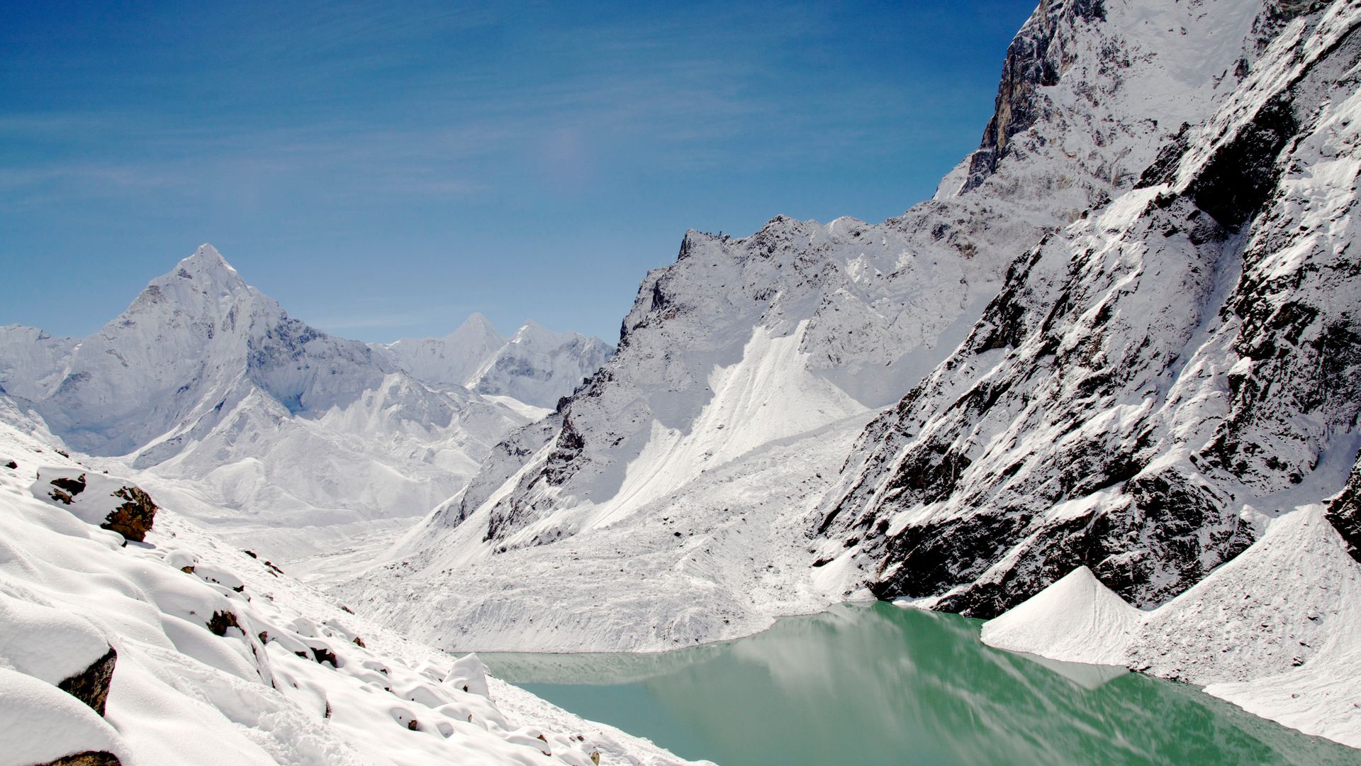 Biochemistry Cell and Developmental Biology Graduate Program at Emory ...